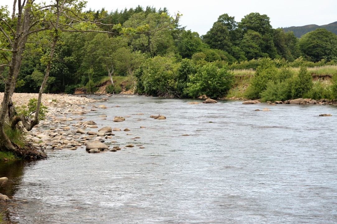 Mickleton Island | Tees | The Fishing Passport