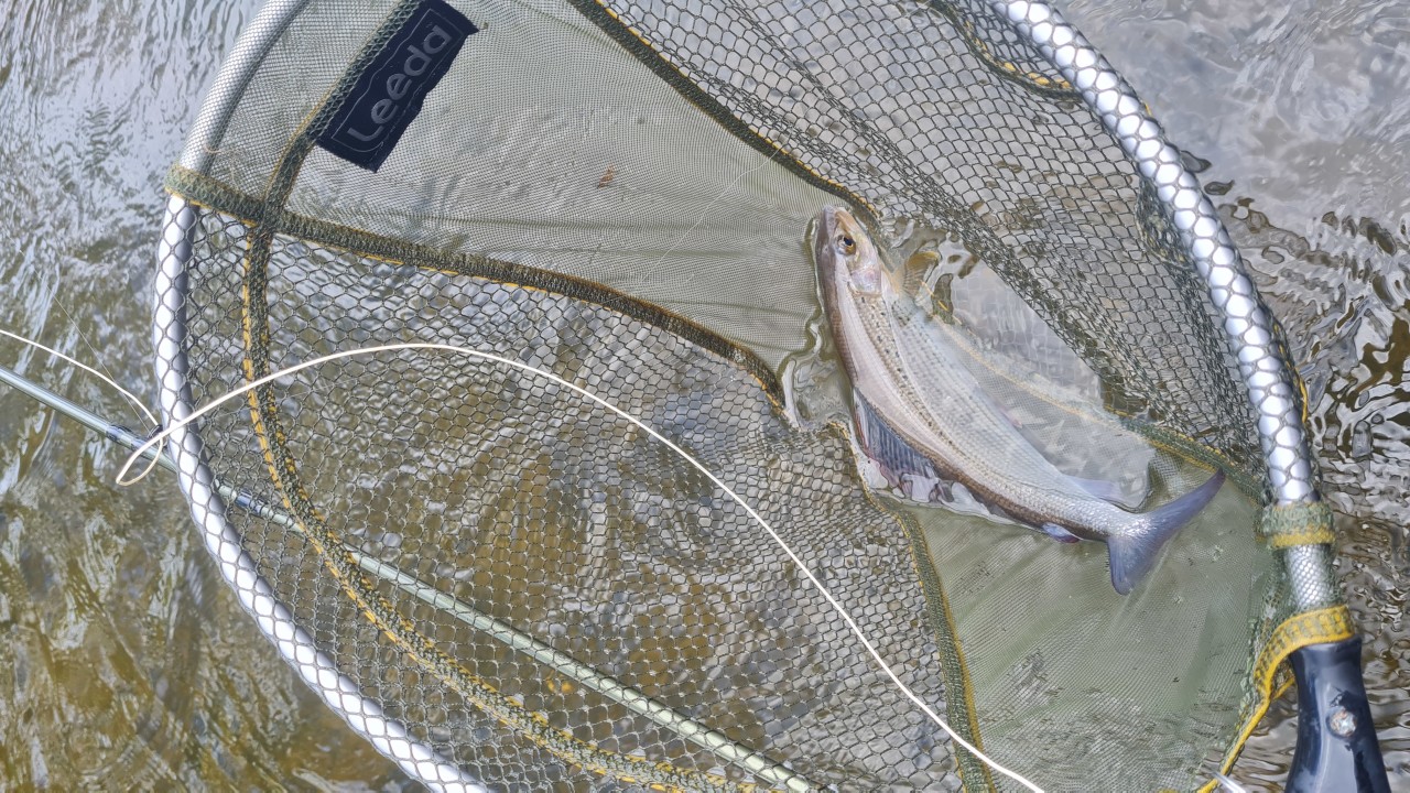 Feedback & Reports | The Fishing Passport