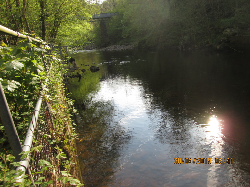 Glynneath & District AA | Neath | The Fishing Passport
