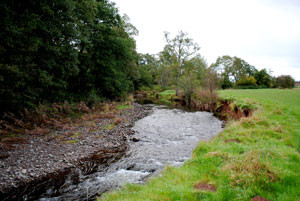 Pontithel - River Llynfi | Upper Wye | The Fishing Passport
