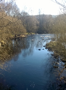 River Eden - Lower | Eden | The Fishing Passport