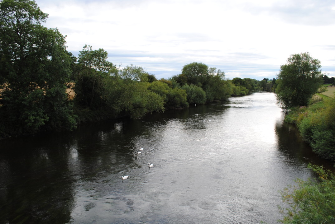The Foy Fishery | Middle Wye | The Fishing Passport