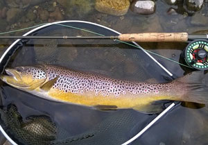 Taff | The Fishing Passport