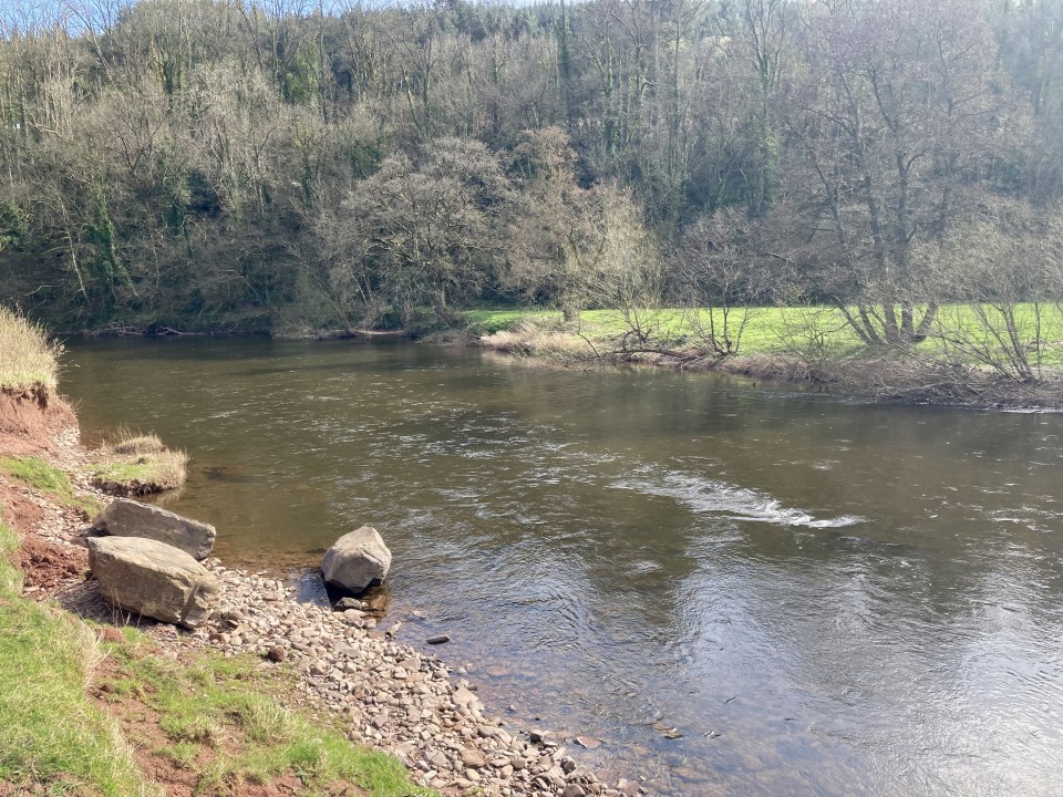 Feedback & Reports | The Fishing Passport