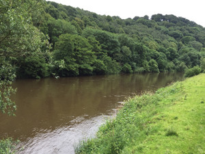 Wyastone Leys | Lower Wye | The Fishing Passport