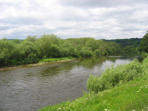 Whitney Court | Middle Wye | The Fishing Passport