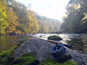 Doldowlod | Upper Wye | The Fishing Passport