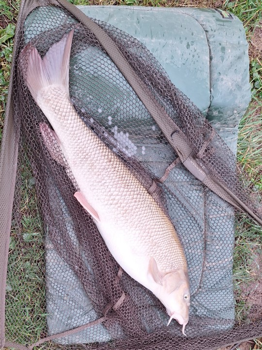 Feedback & Reports | The Fishing Passport