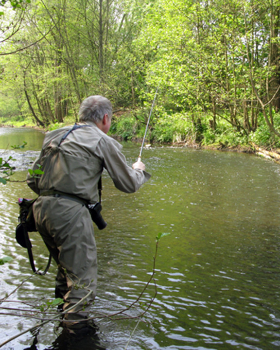 River Alyn - Rossett & Gresford Flyfishers | Fly Fishing Forum