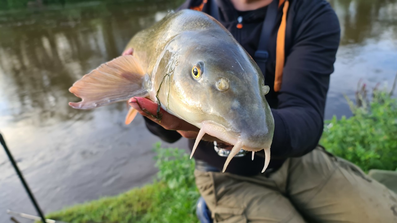 Feedback Reports The Fishing Passport