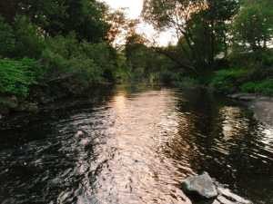 Loughor | The Fishing Passport