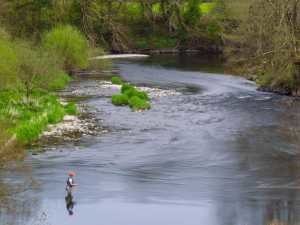 Teifi | The Fishing Passport