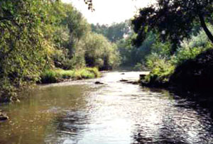 Monnow Valley | Monnow | The Fishing Passport