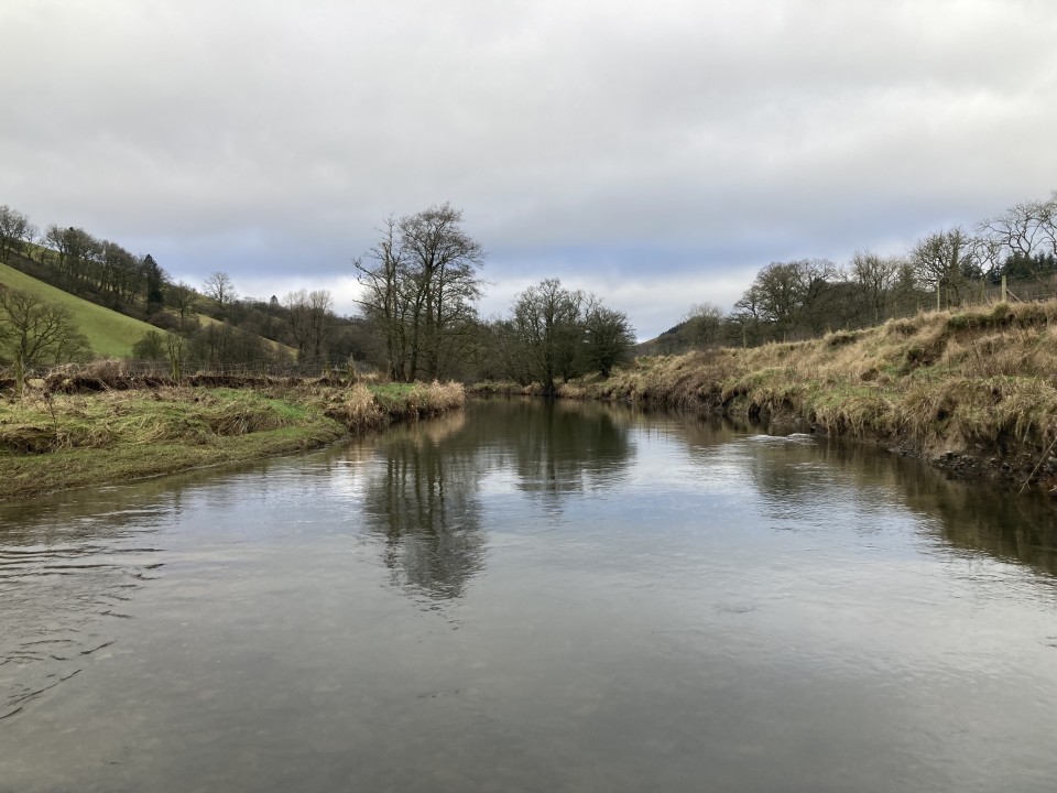 Feedback & Reports | The Fishing Passport