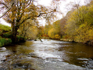 Upper Wye | The Fishing Passport