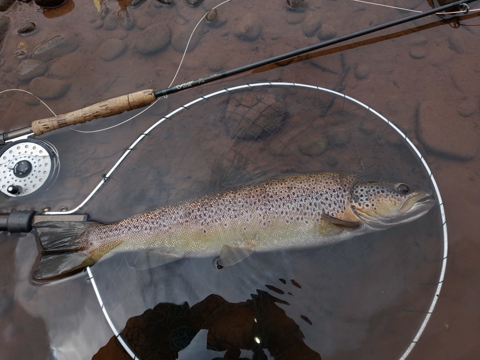 Feedback & Reports | The Fishing Passport