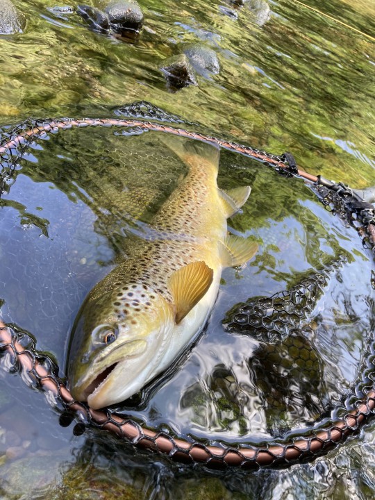 Feedback & Reports | The Fishing Passport