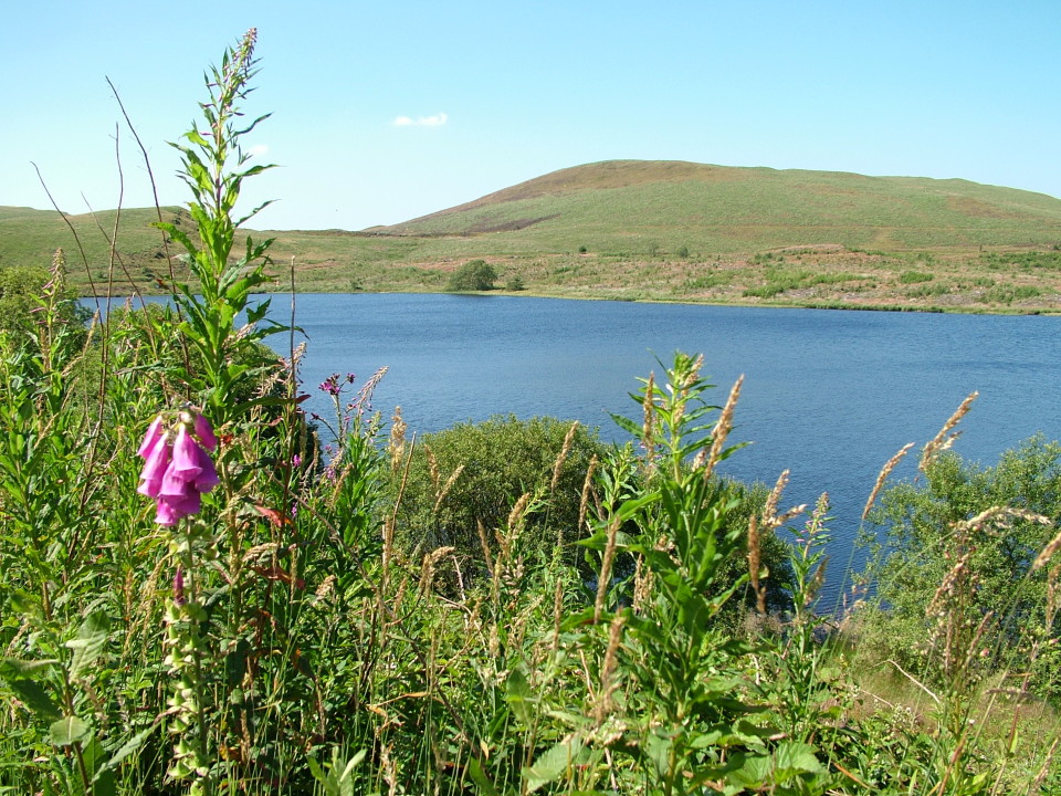 Llyn Blaenmelindwr (Aberystwyth AA) | Upland Llyns | The Fishing Passport
