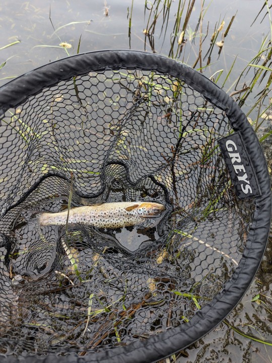 Feedback & Reports | The Fishing Passport