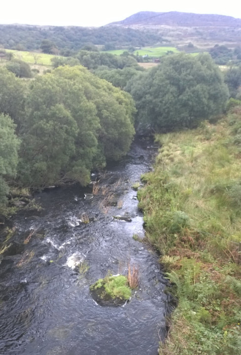 River Eden - Middle | Eden | The Fishing Passport