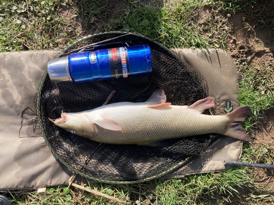 Feedback & Reports | The Fishing Passport