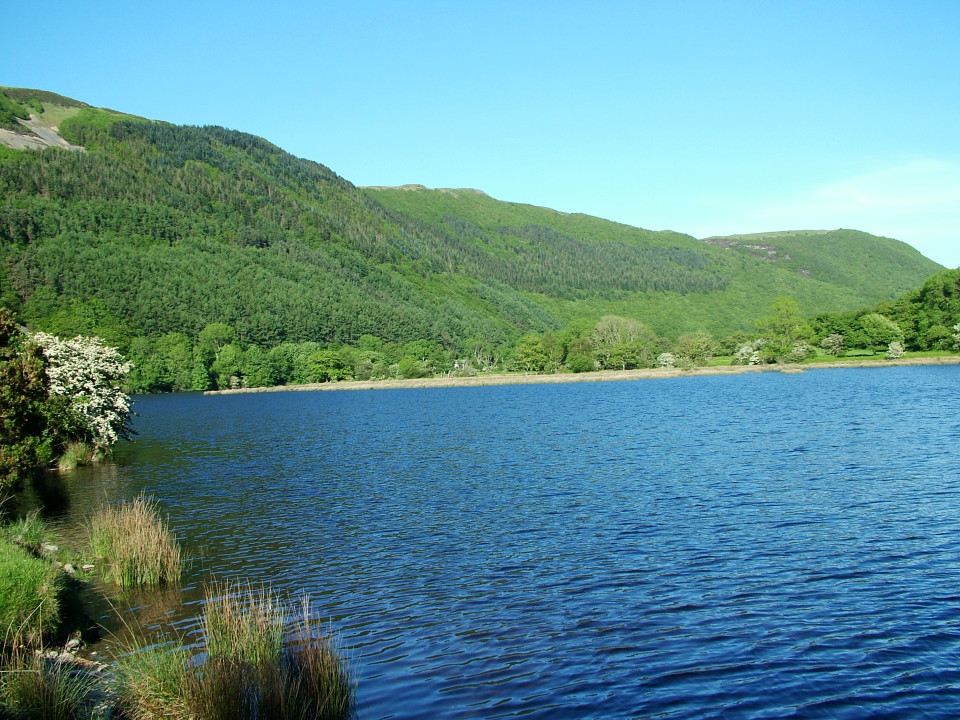 Cwm Rheidol Reservoir (Aberystwyth AA) | Upland Llyns | The Fishing ...
