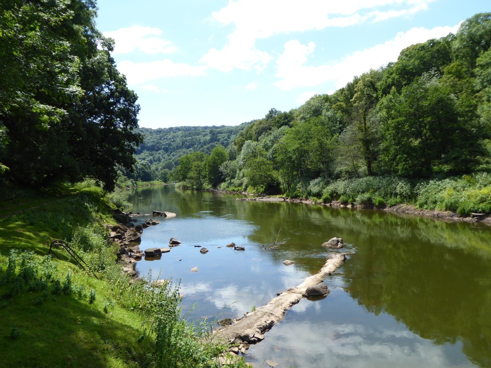 Cadora Backs | Lower Wye | The Fishing Passport