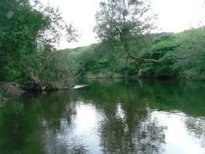 Pontarddulais AA Loughor | Loughor | The Fishing Passport