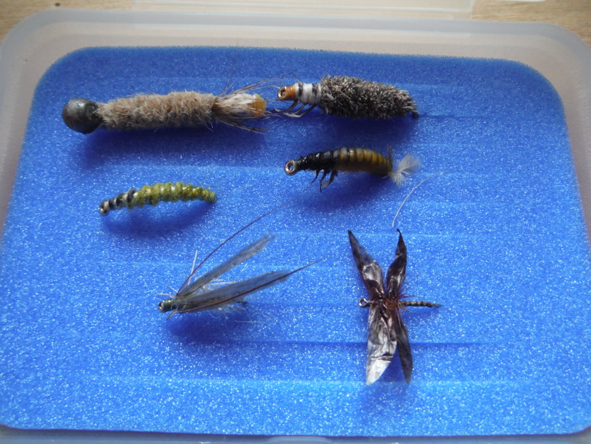 Oliver Burch's Game Fishing Monthly Report - May 2023 | The Fishing ...