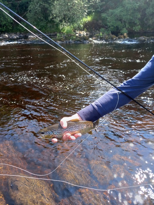 Oliver Burch's Game Fishing Monthly Report - June 2023 | The Fishing ...