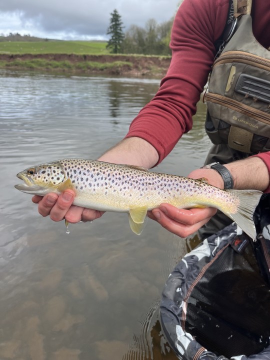Oliver Burch's Game Fishing Monthly Report - April 2024 | The Fishing ...
