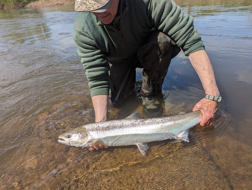 Oliver Burch's Game Fishing Monthly Report - May 2024 | The Fishing ...