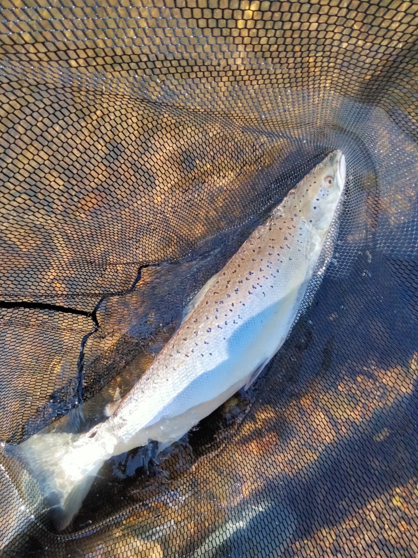 Oliver Burch's Game Fishing Monthly Report - June 2024 | The Fishing ...