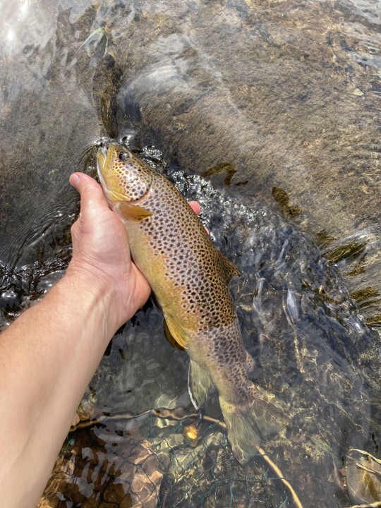 Oliver Burch's Game Fishing Monthly Report - September 2025 | The ...