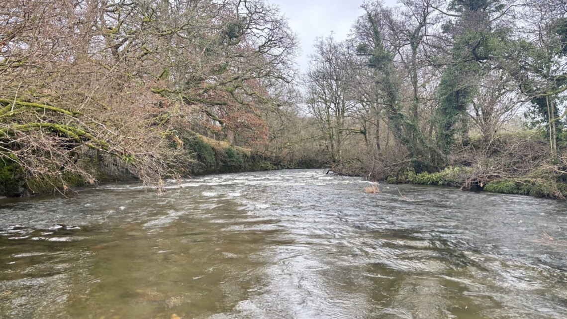 Oliver Burch's Game Fishing Monthly Report - January 2026 | The Fishing ...